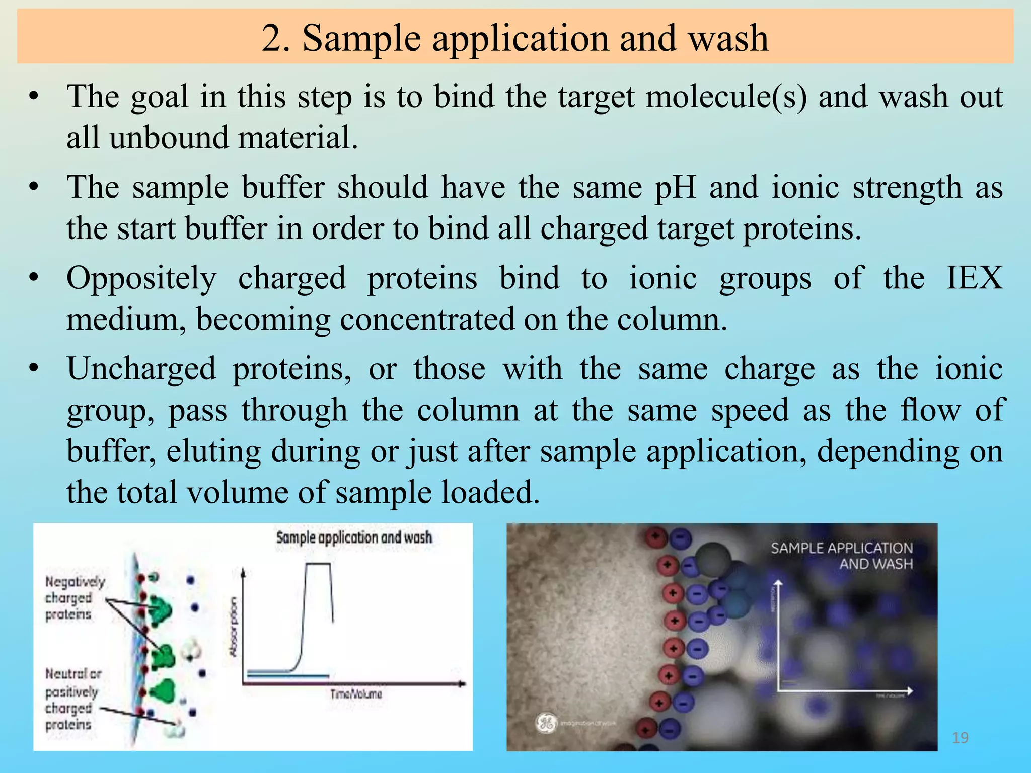 Ion exchange chromatography PPT. | PPTX
