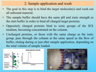 Ion exchange chromatography PPT. | PPTX