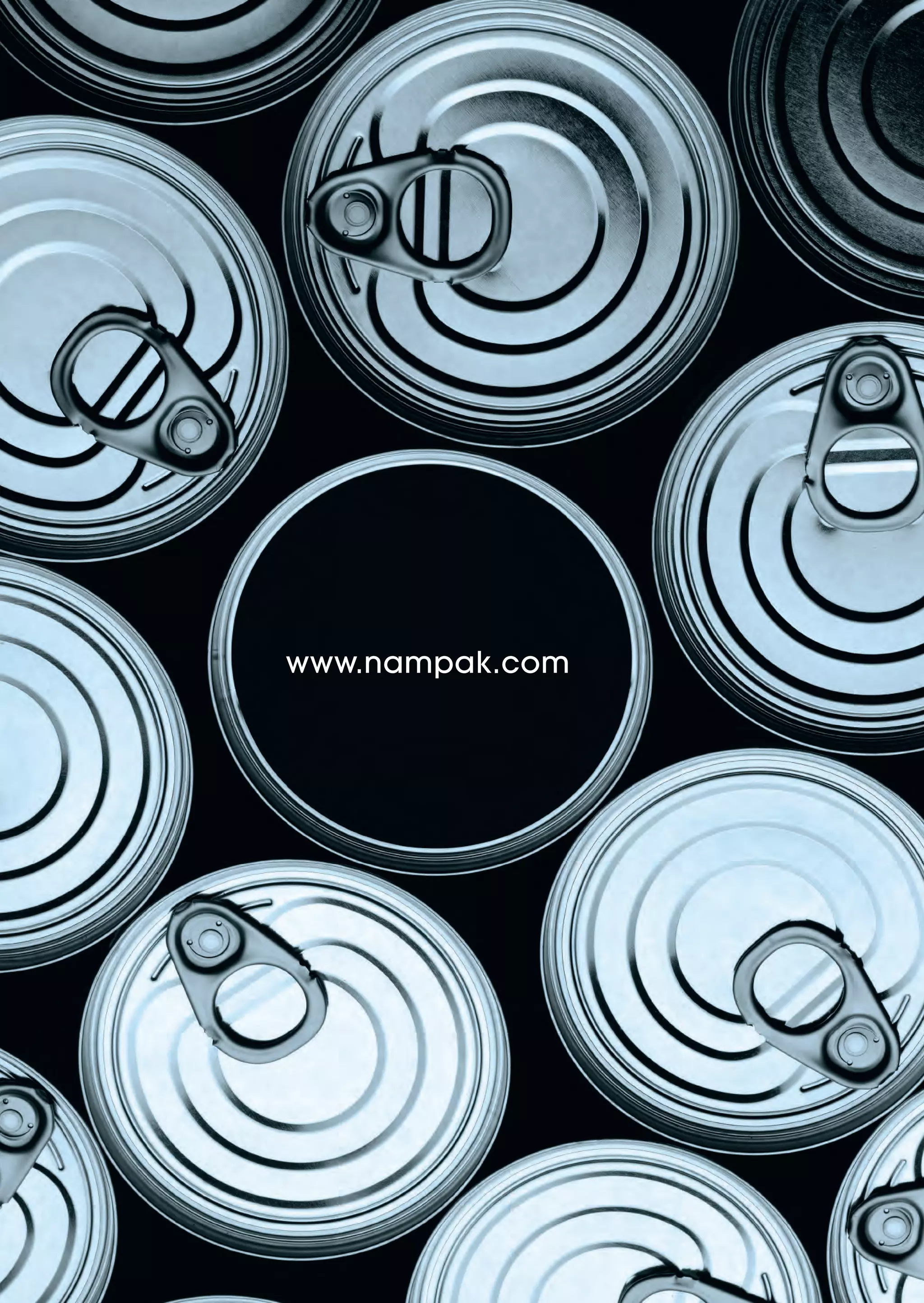 divfood_corporate_profile_1 | PDF