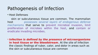 Surgical Infection Powerpoint based on Scwartz Principlse of Surgery | PDF