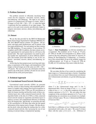 A New Algorithm for Fully Automatic Brain Tumor Segmentation with 3-D Convolutional Neural ...