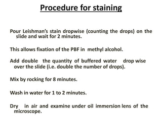 special and routine stains in haematology 1 | PPTX