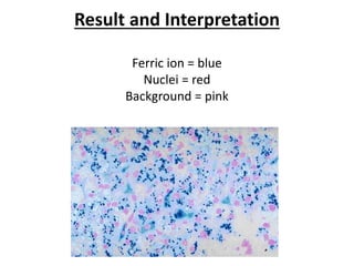 special and routine stains in haematology 1 | PPTX