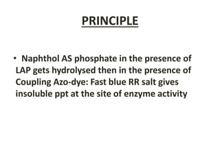 special and routine stains in haematology 1 | PPTX