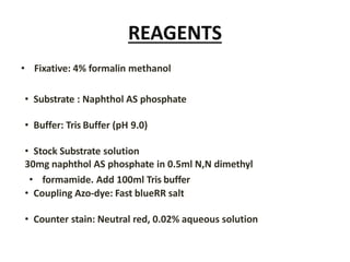 special and routine stains in haematology 1 | PPTX