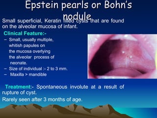 predentate period pedo | PPT