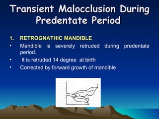 predentate period pedo | PPT