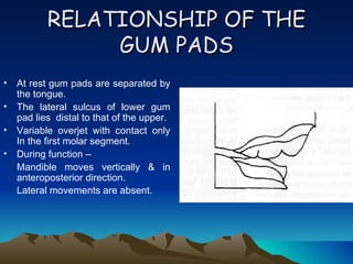 predentate period pedo | PPT