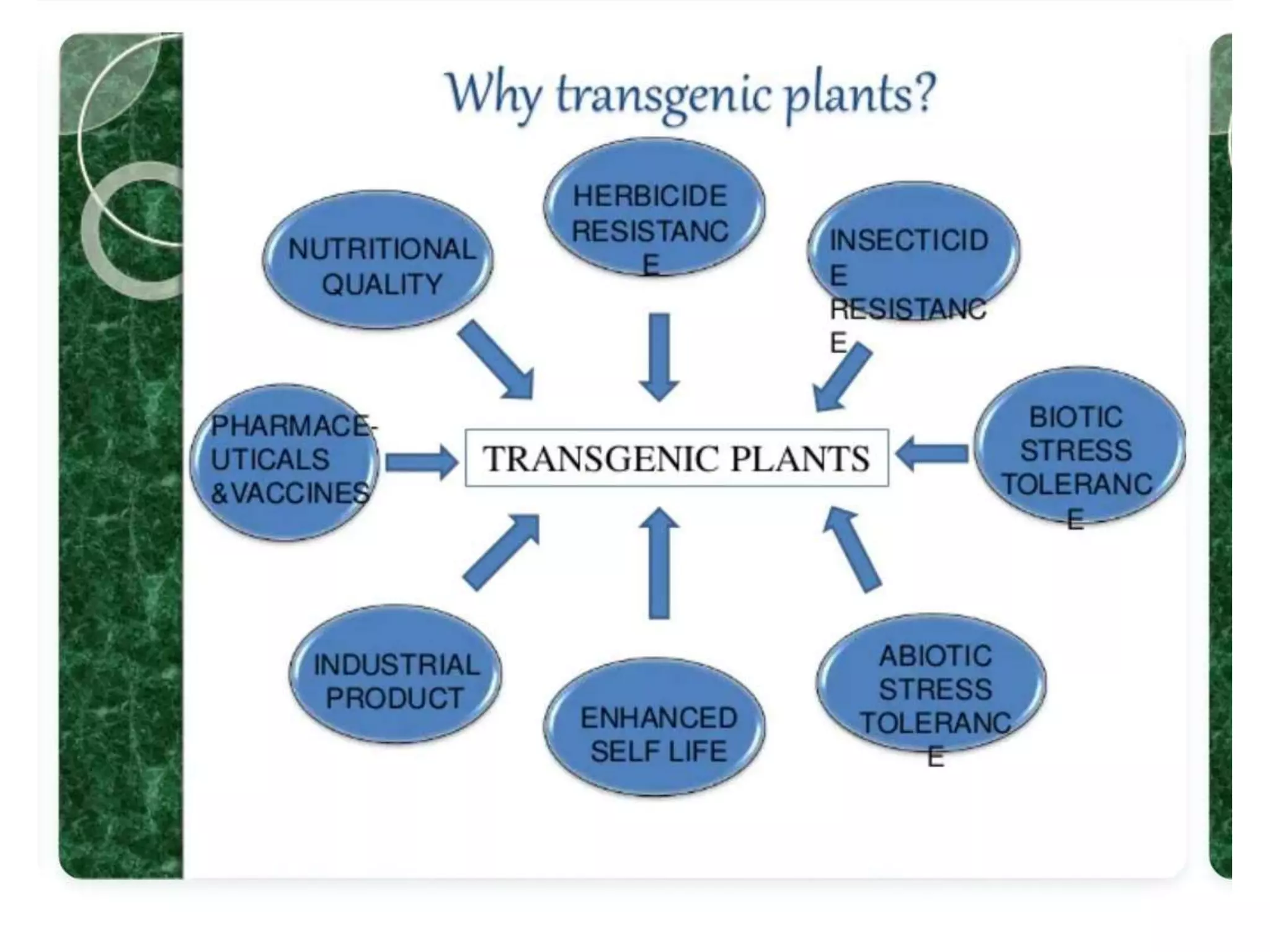 Transgenic plants | PPTX