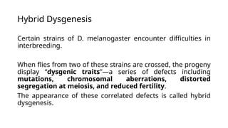 Molecular Genetics Presentation Slide 323 | PPT