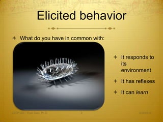 324 02 part 1 elicited behavior, habituation, sensitization | PPTX