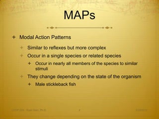 324 02 part 2 elicited behavior, habituation, sensitization | PPT