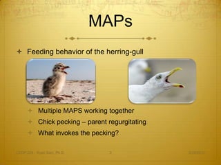 324 02 part 2 elicited behavior, habituation, sensitization | PPT