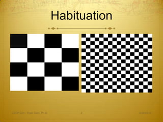 324 02 part 3 elicited behavior, habituation, sensitization | PPT