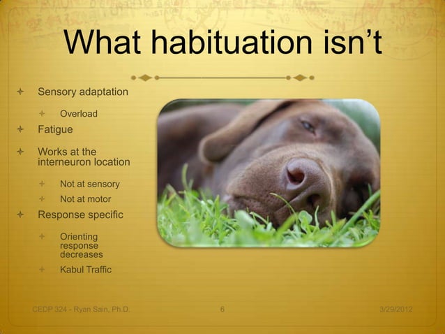 324 02 part 3 elicited behavior, habituation, sensitization | PPT