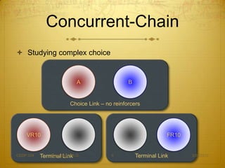 324 05 part 3 matching law | PPT