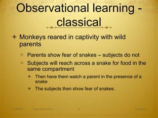 324 10 observational learning | PPTX | Reptiles | Pets