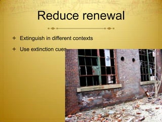 324 7 part 2 extinction | PPTX