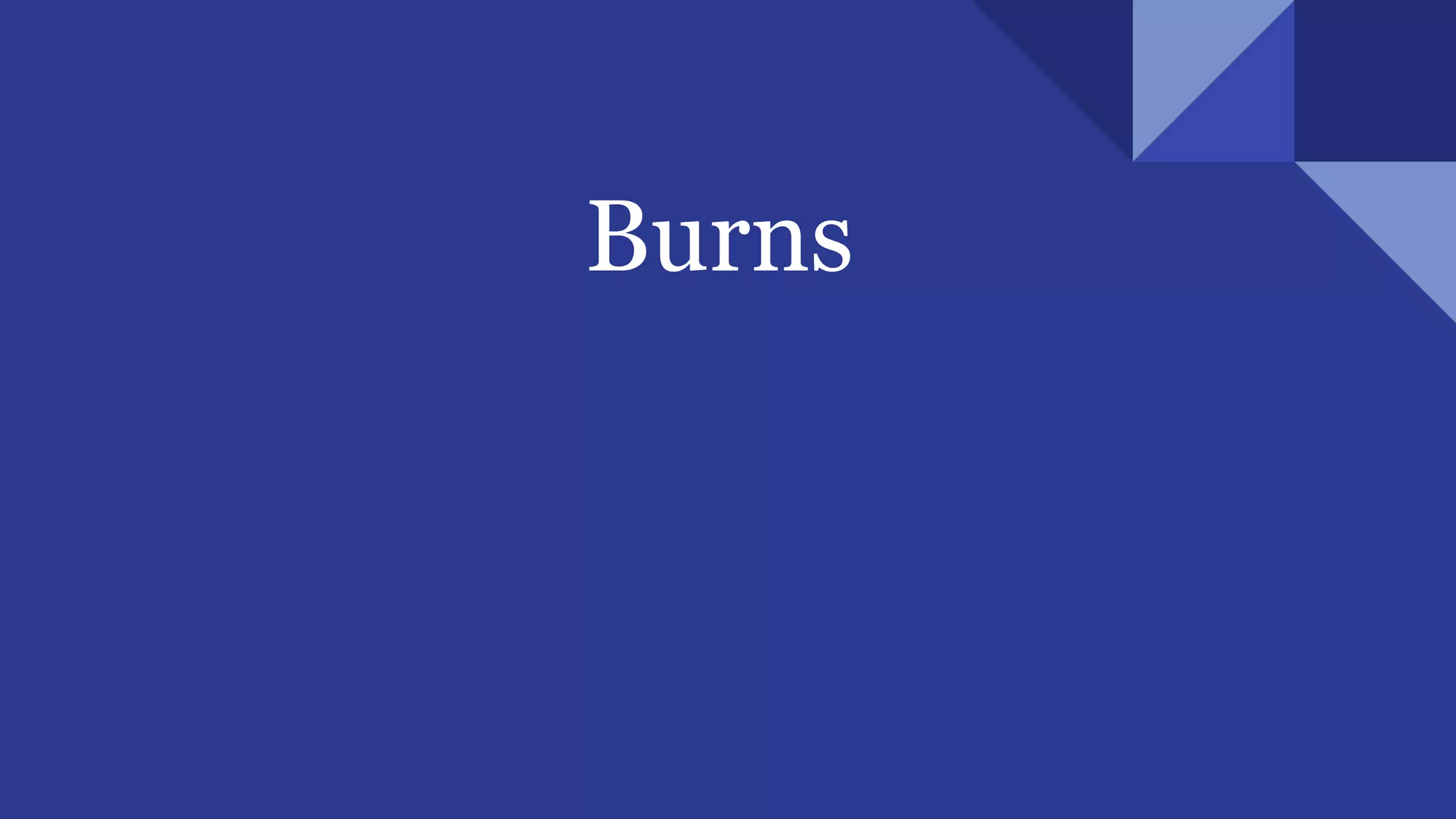 324822610-Burns.pptx