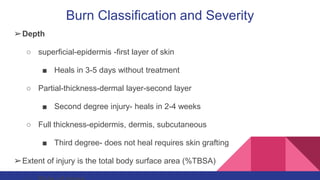 324822610-Burns.pptx