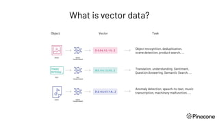 The Rise of Vector Data | PDF