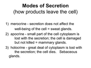 324 lecture5 | PPT | Endocrine and Metabolic Diseases | Diseases and ...