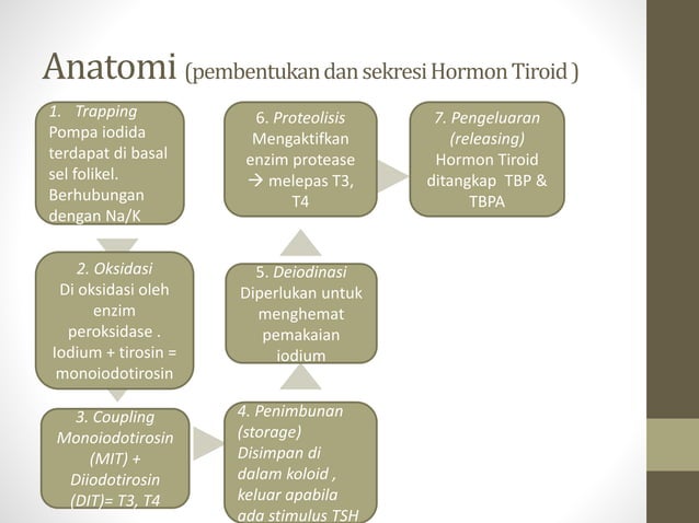 325375268 tiroid | PPTX