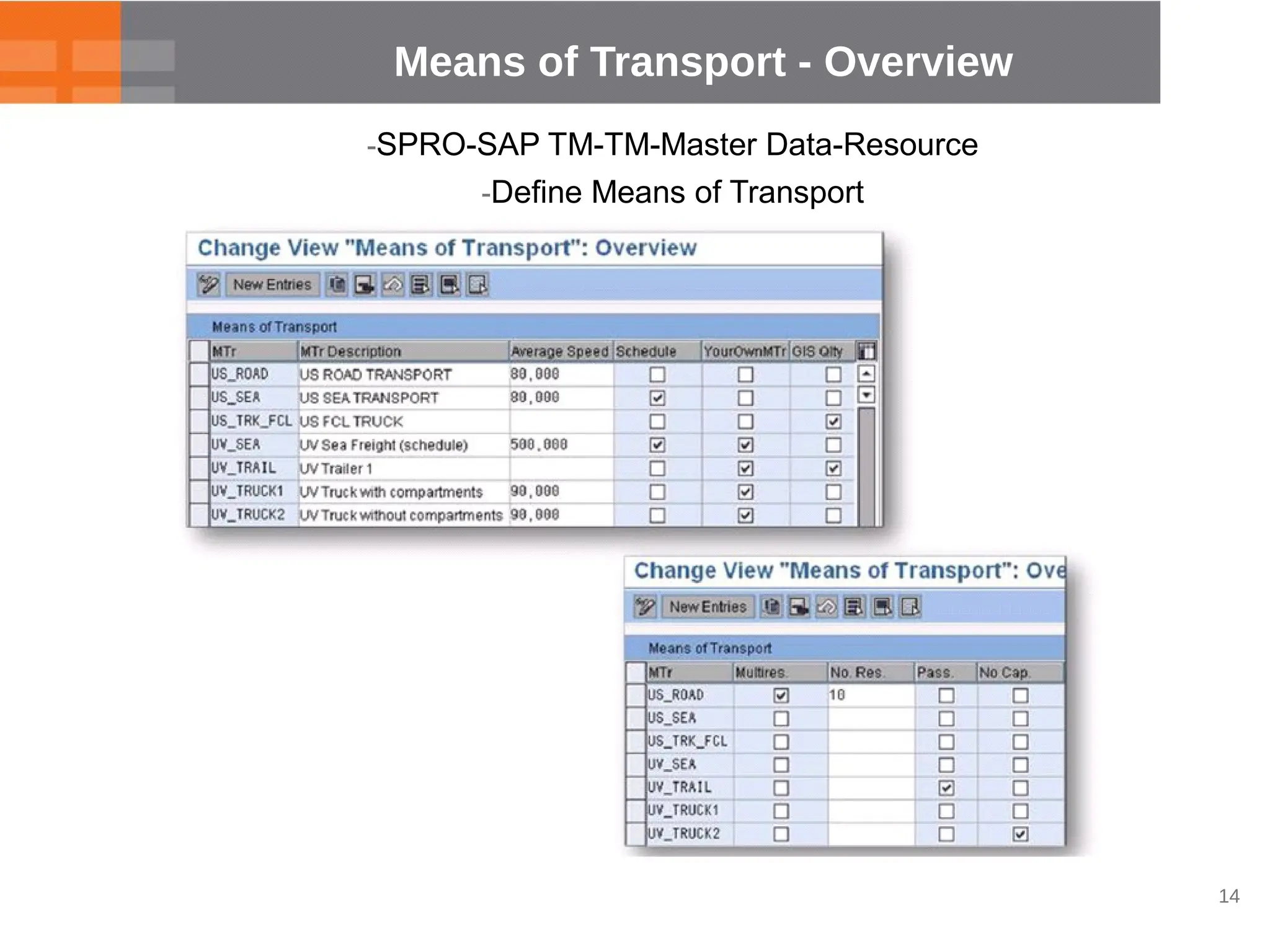 sapsapshana325811321-2-TM-Master-Data.pdf