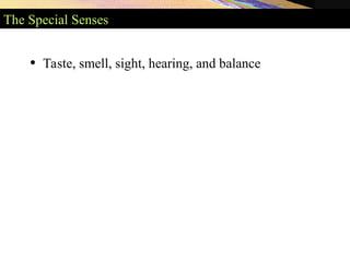 physiology of taste sensation-Taste-Pathway.ppt