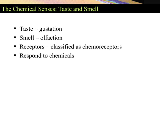 physiology of taste sensation-Taste-Pathway.ppt