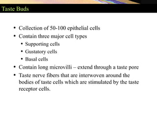 physiology of taste sensation-Taste-Pathway.ppt