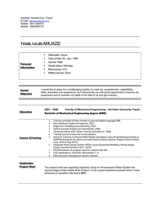 CV_Nabil Abuaziz | PDF