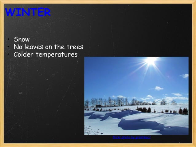 The four seasons Michigan | PPT