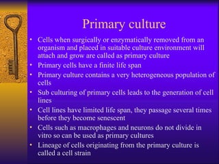 Introduction to Cell Culture in Detail with Diagrams | PPT