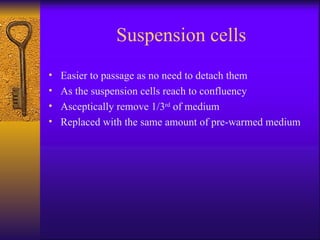 Introduction to Cell Culture in Detail with Diagrams | PPT