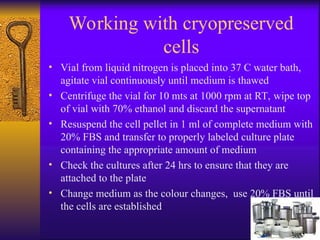 Introduction to Cell Culture in Detail with Diagrams | PPT