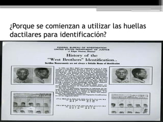 FORENSE DACTILOSCOPIA FORENSE TRABAJOSD | PPTX