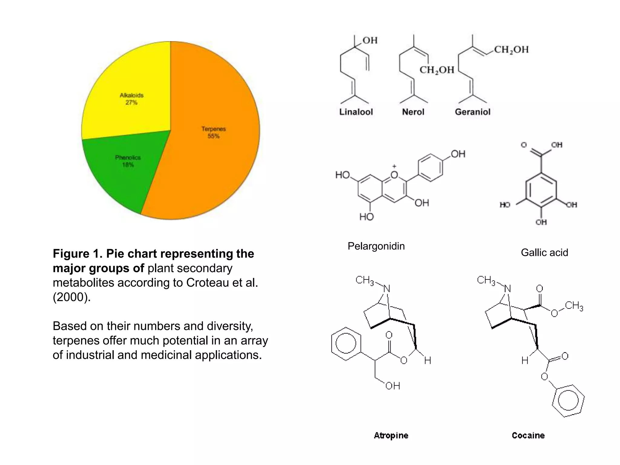 Medicinal-Plant-Chemical-Constituents.ppt