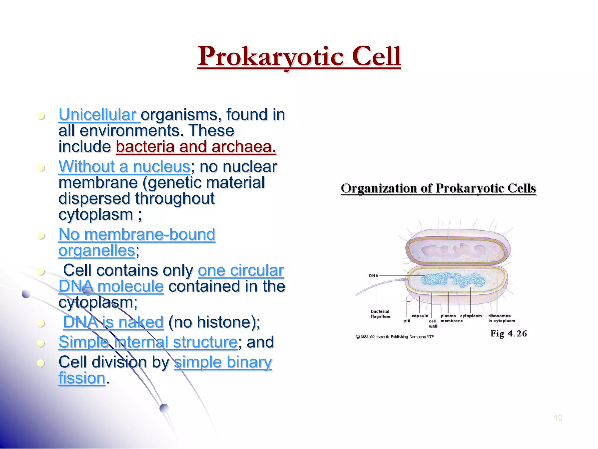 Molecular Biology.ppt