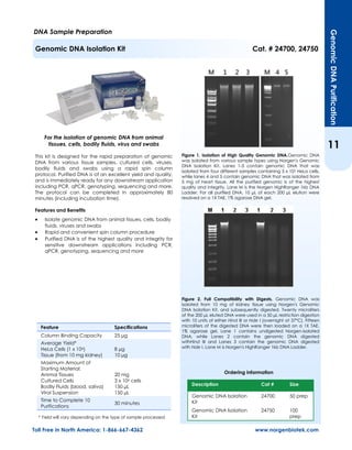 DNA Booklet | PDF