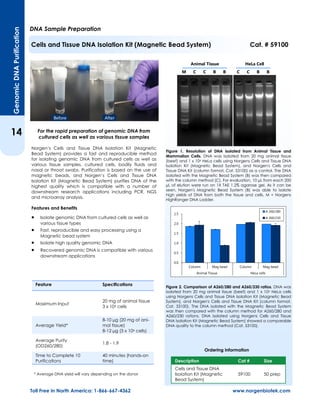 DNA Booklet | PDF