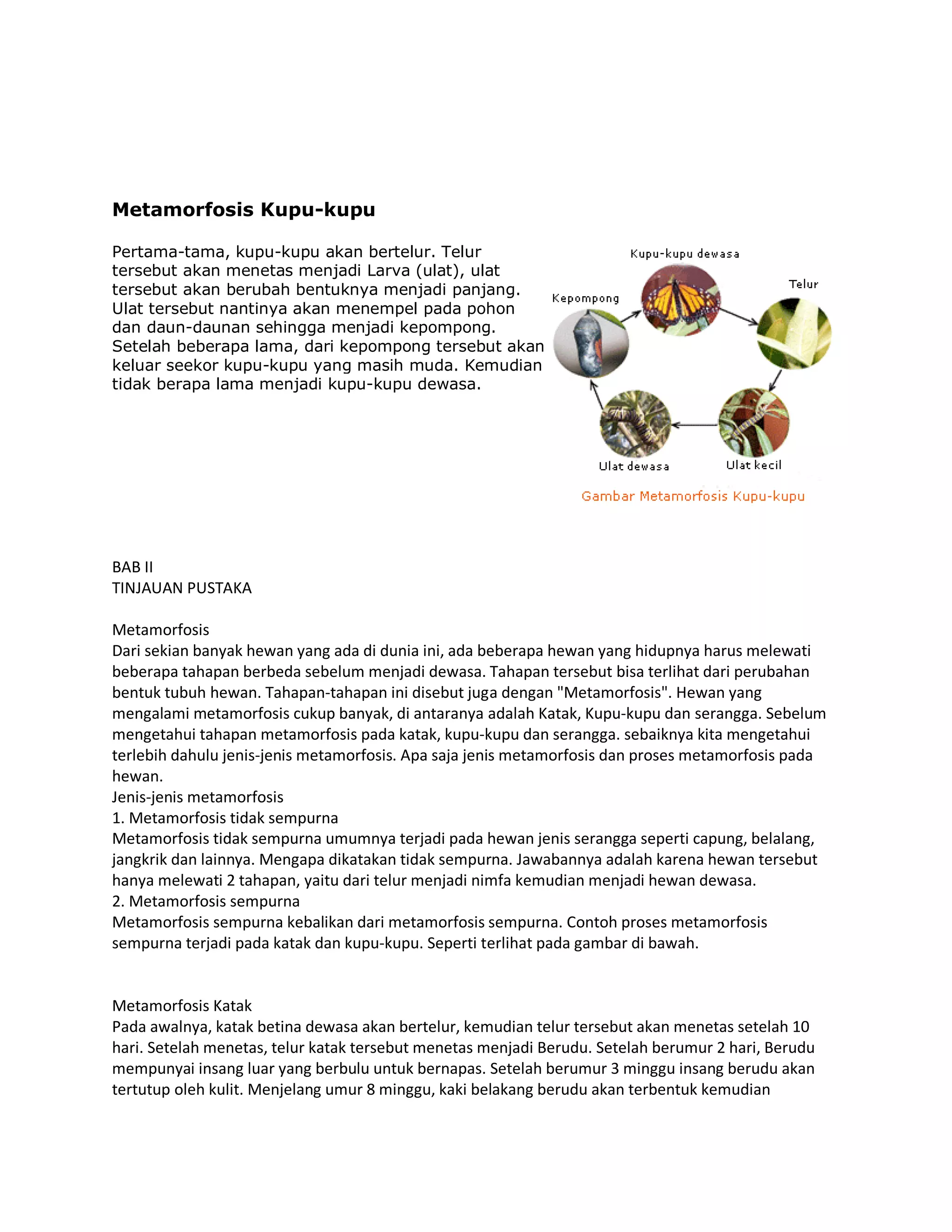 32806597 metamorfosis-kupu | PDF