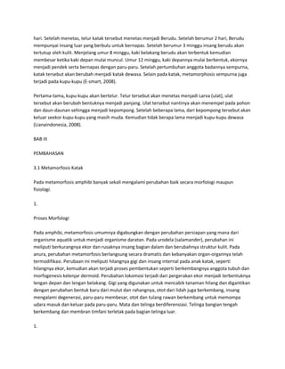 32806597 metamorfosis-kupu | PDF