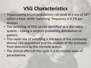 Sleeping Sickness Presentation | PPTX