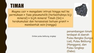 328545129-4-PPT-2-potensi-Dan-Persebaran-Tambang.pptx