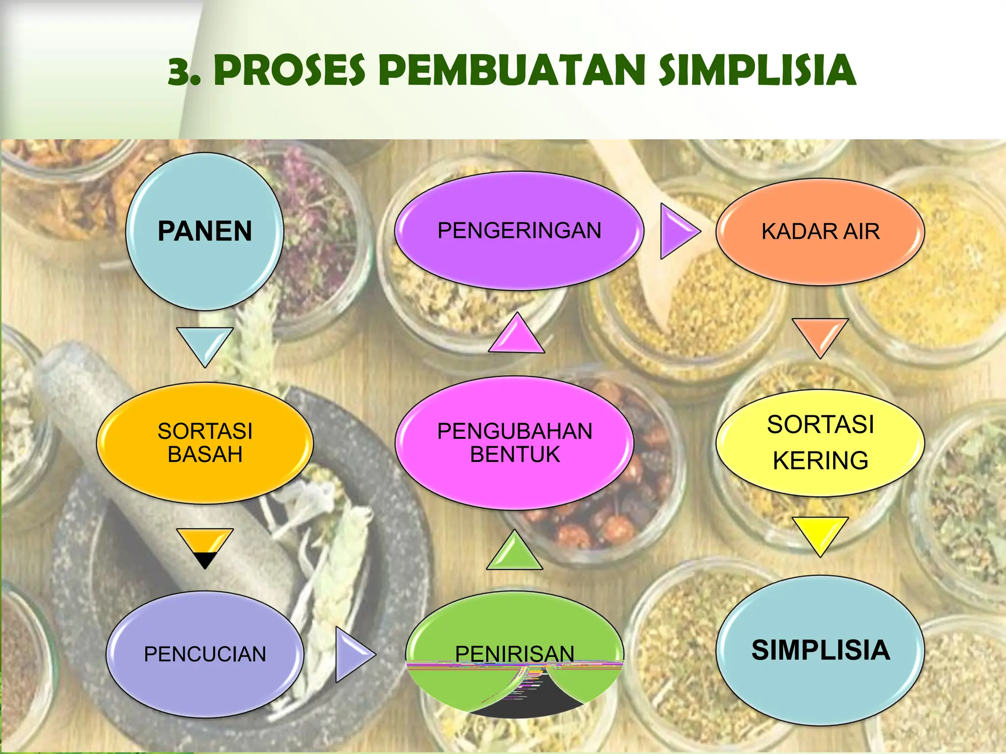 PRINSIP PEMBUATAN SIMPLISIA | PDF