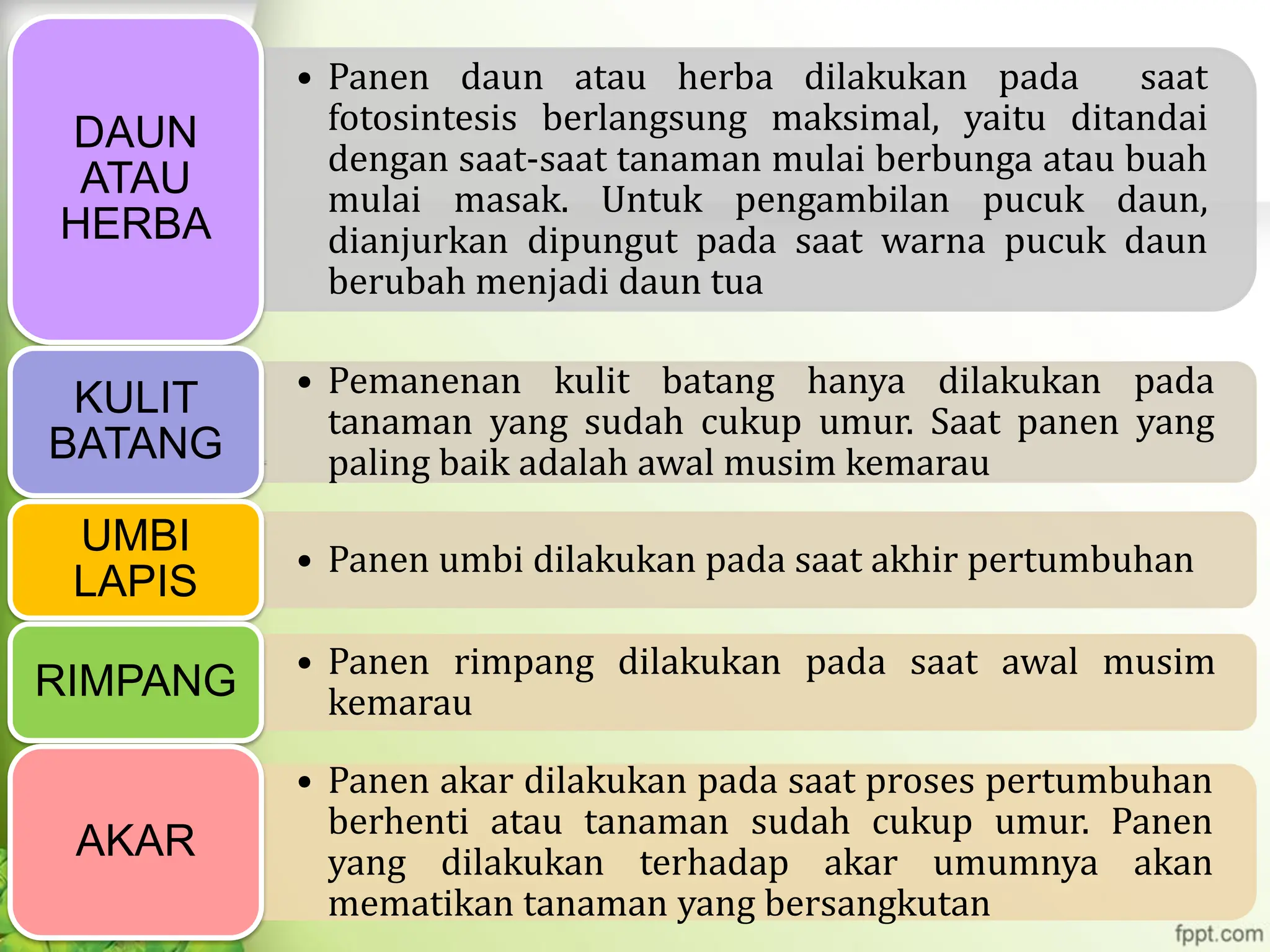 PRINSIP PEMBUATAN SIMPLISIA | PDF