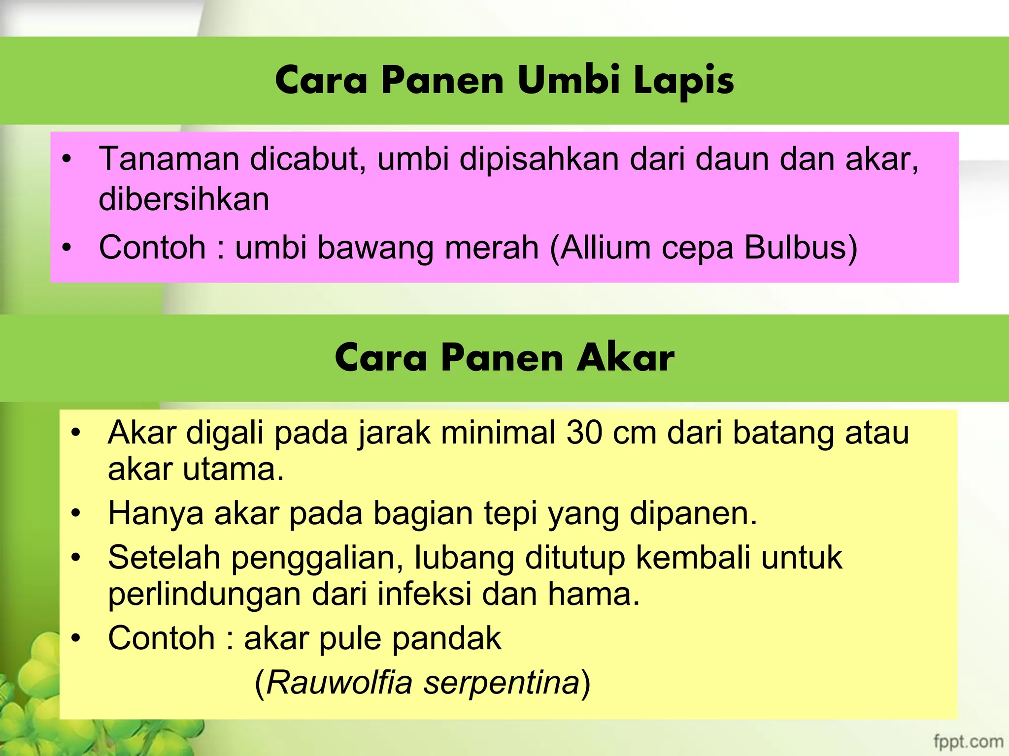 PRINSIP PEMBUATAN SIMPLISIA | PDF