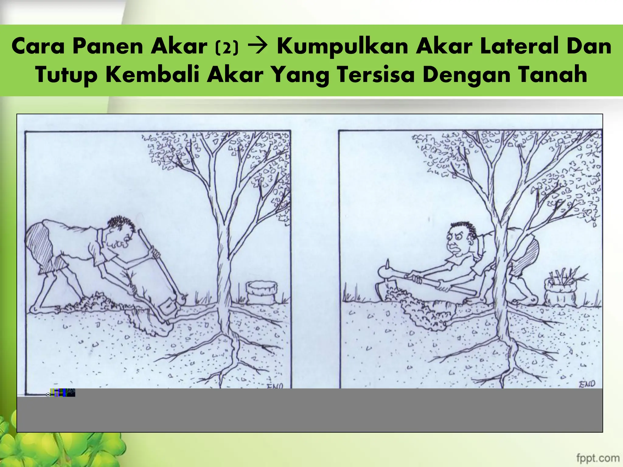 PRINSIP PEMBUATAN SIMPLISIA | PDF