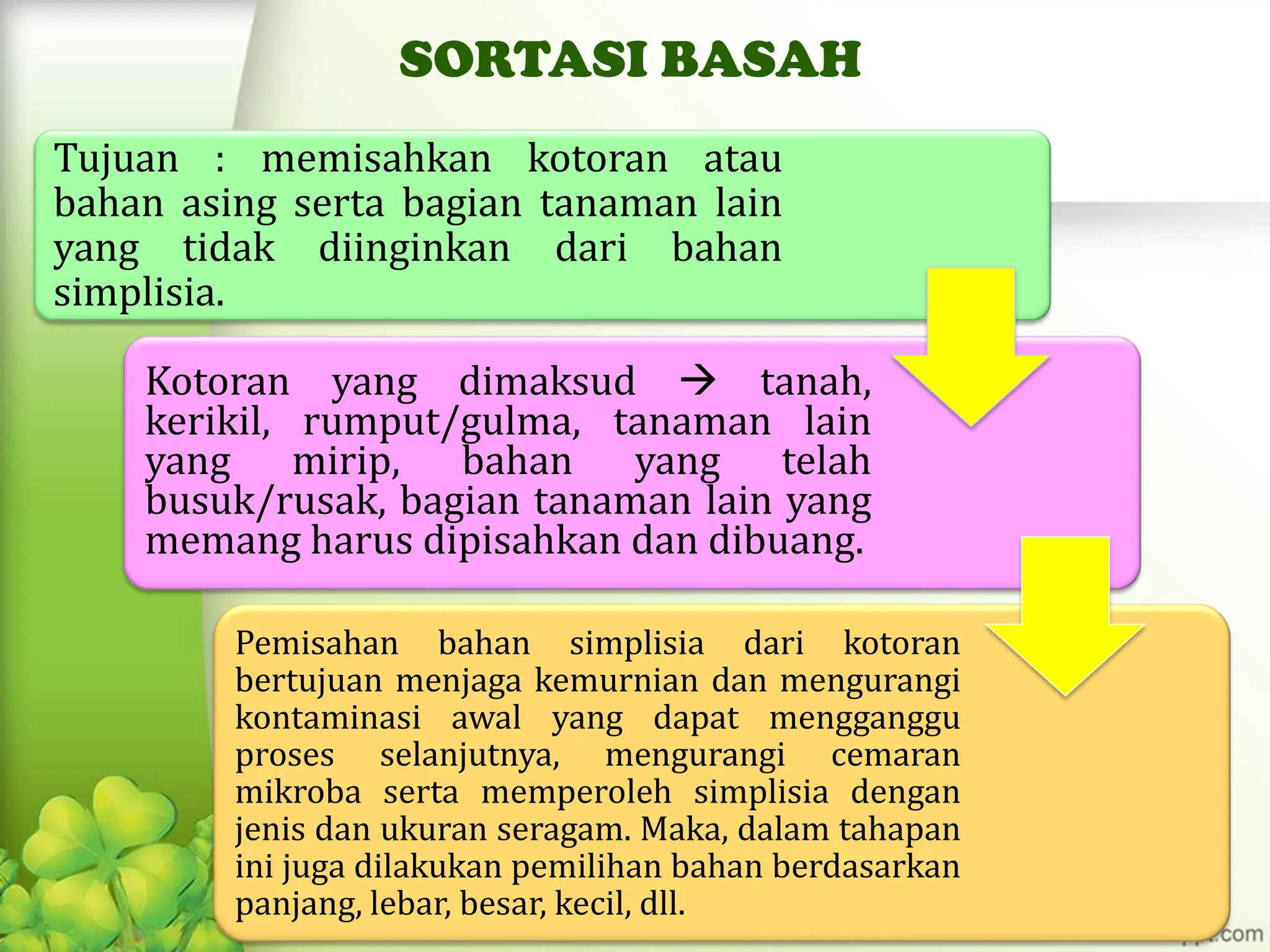 PRINSIP PEMBUATAN SIMPLISIA | PDF